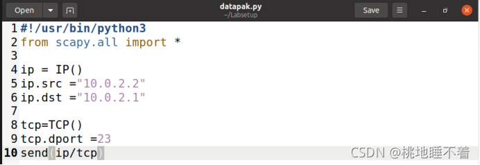 从入门到入土： Seed Lab Packet Sniffing And Spoofing Lab嗅探与欺骗实验详细说明实验步骤实验截图seed Lab实验 Csdn博客