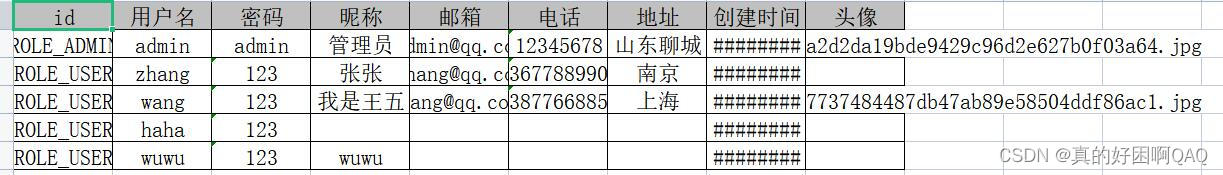 hutool以部分字段输出到excle（字段移除）_hutool excel导出对象怎么不导出其中一部份值-CSDN博客