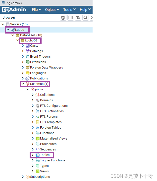 PgAdmin（PostgreSQL 数据库工具）-CSDN博客