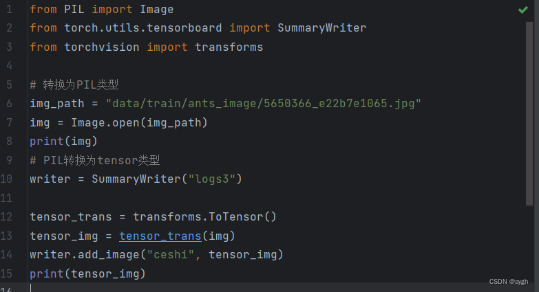 深度学习入门（小土堆pytorch视频笔记）：复盘自用_transforms.resize用什么插值方法-CSDN博客