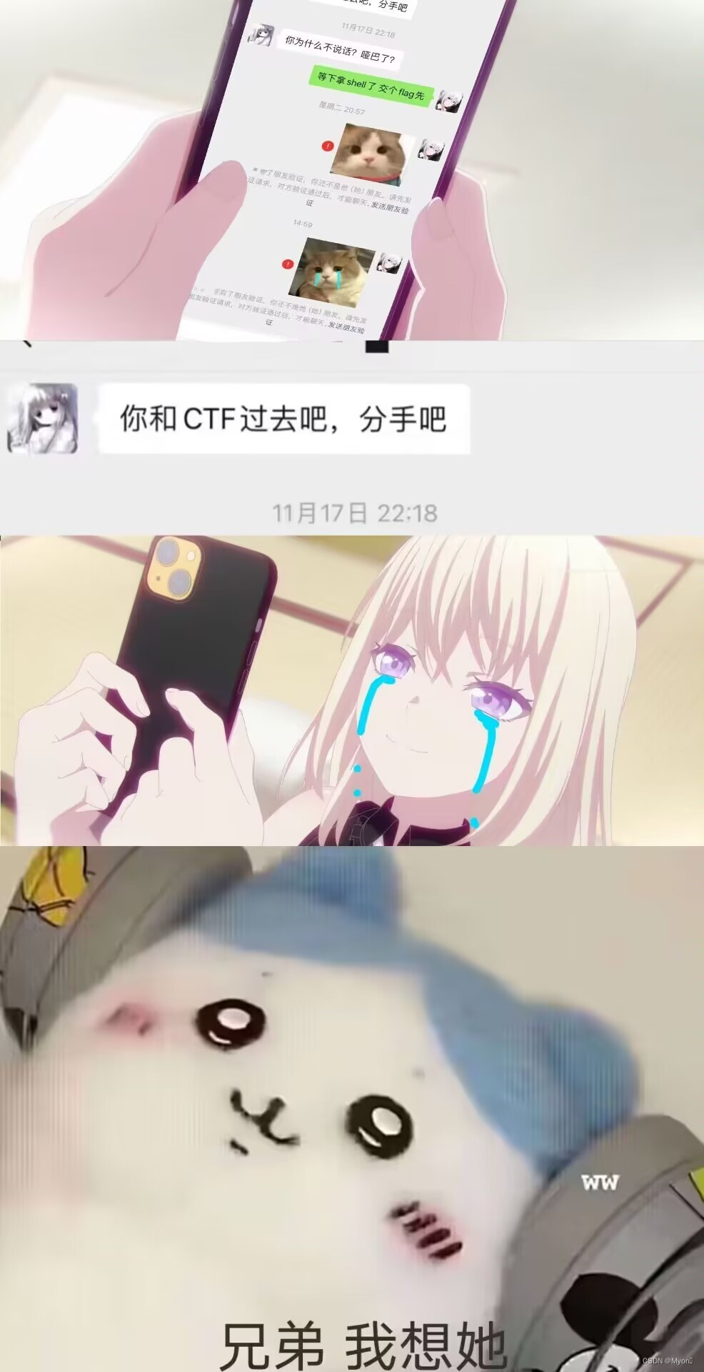 ctfshow-web入门-信息搜集（web11-web20）_ctfshow web11-CSDN博客