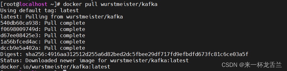 【Linux】Docker安装kafka教程（超详细保姆篇）-CSDN博客
