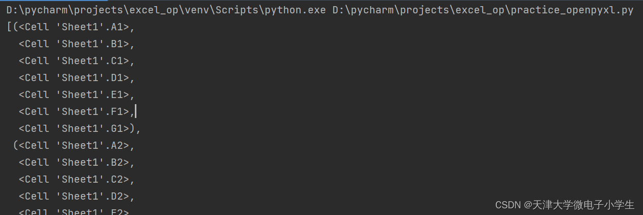 Ic设计技术 编写python脚本快速批量生成verilog代码1：使用openpyxl读取寄存器列表excel文件并构建结构化的字典python怎么转verilog Csdn博客