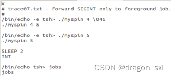 实验四-Shelllab实验（csapp、计算机系统外壳实验）_shell lab-CSDN博客