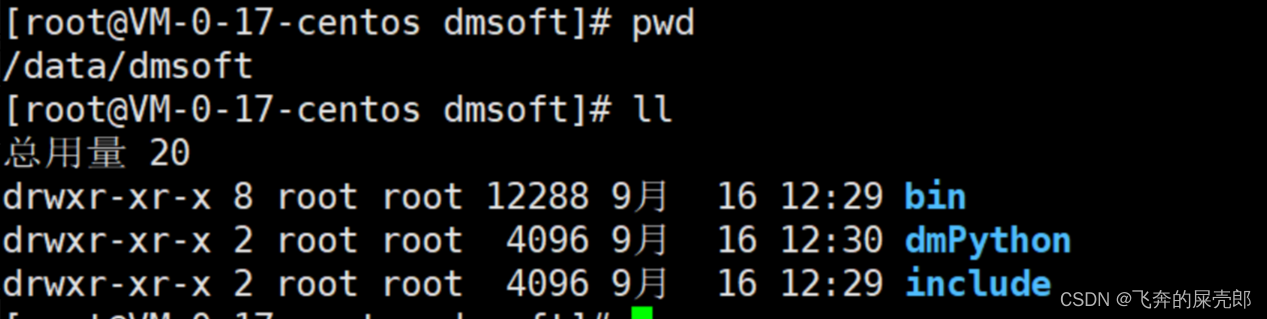 Linux环境下不安装DM数据库，编译dmPython_importerror: libdmdpi.so: cannot open shared objec-CSDN博客