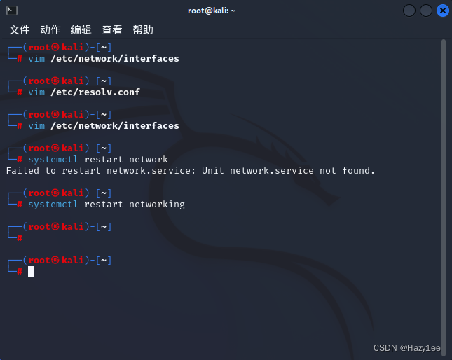 Kali Linux NAT上网配置-CSDN博客