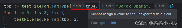 golang Cannot assign a value to the unexported field ‘xxxxx‘_cannot assign a value to the ...