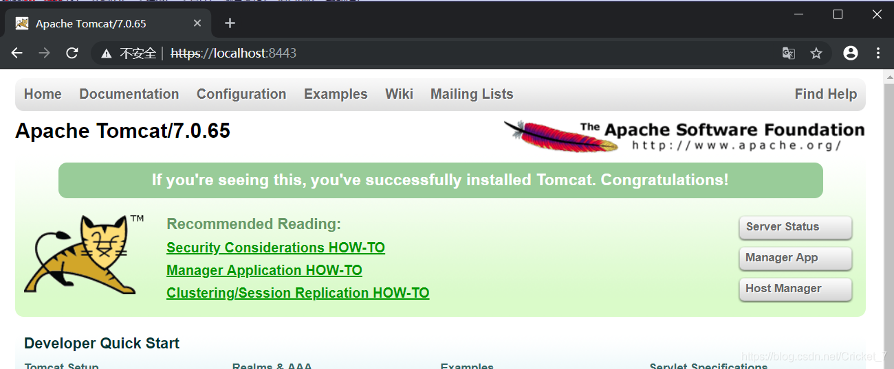 Tomcat配置Https服务，访问https://localhost:8443-CSDN博客