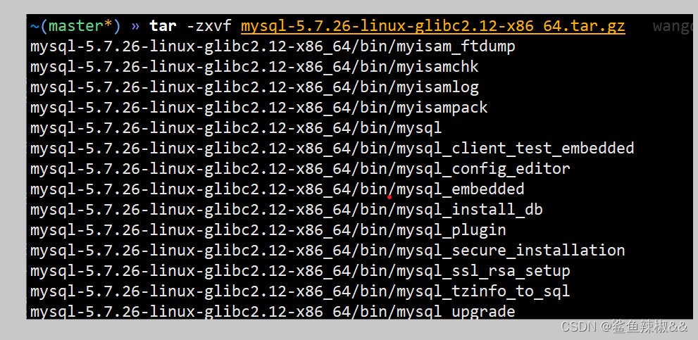 linux系统下通过压缩包形式下载MySQL：_mysql linux 压缩包下载-CSDN博客