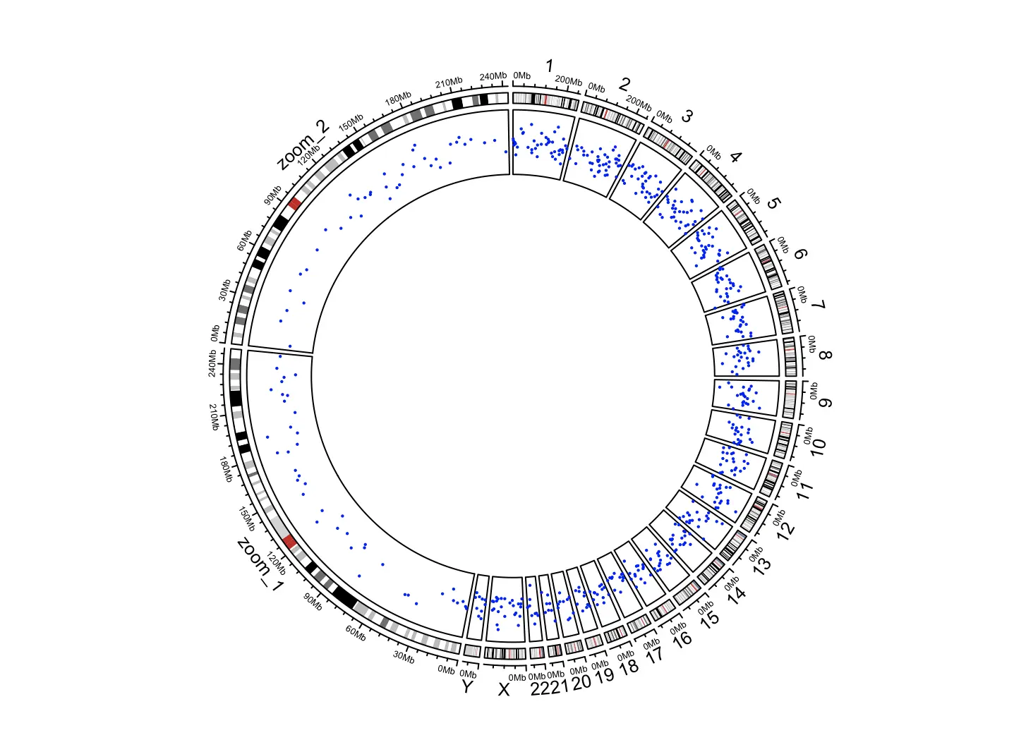R 数据可视化 —— circlize 基因组初始化_circos.genomictrack-CSDN博客