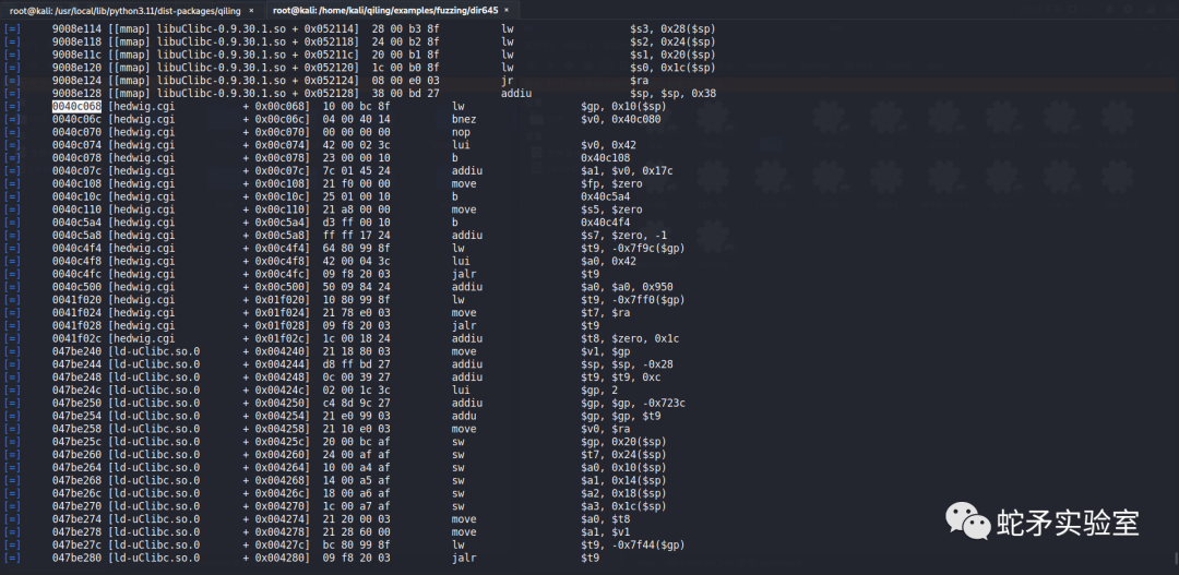 网络靶场实战-Qiling Fuzz实例分析-CSDN博客