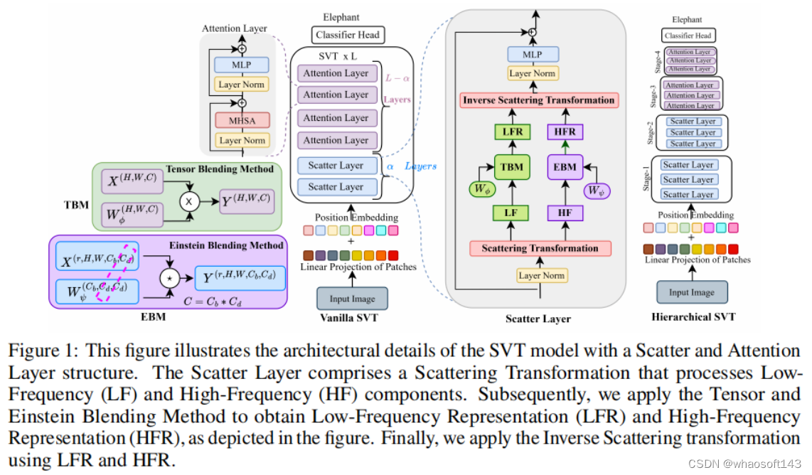 SVT~~_散射视觉transforme-CSDN博客