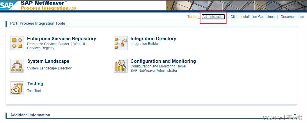 SAP PI - 永久登陆控件_repository.jnlp-CSDN博客