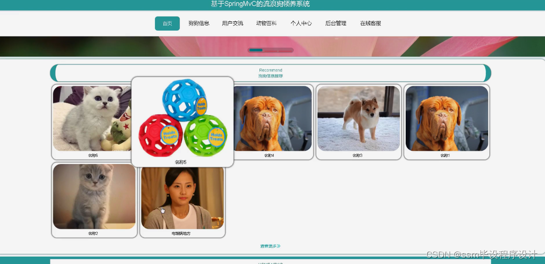 Nodejs毕业设计基于springmvc的流浪狗领养系统（express附源码）nodejs Spring Mvc Csdn博客