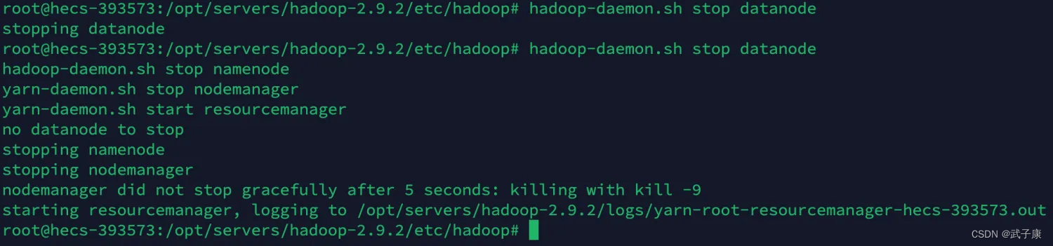Hadoop-04-Hadoop集群 集群群起 NameNode/DataNode启动 3台公网云 ResourceManager Yarn HDFS 集群启动 UI可视化查看 YarnUI ...