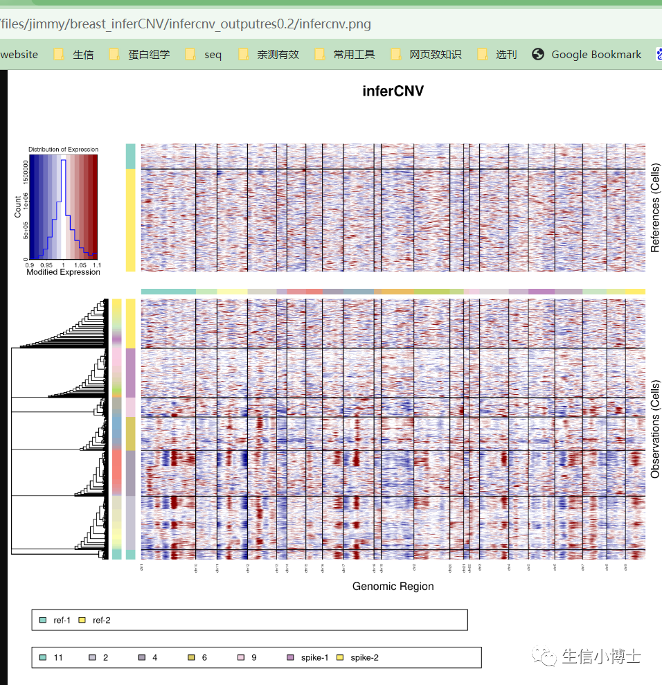 infercnv 三回首：深入理解infercnv为何能发nature-CSDN博客