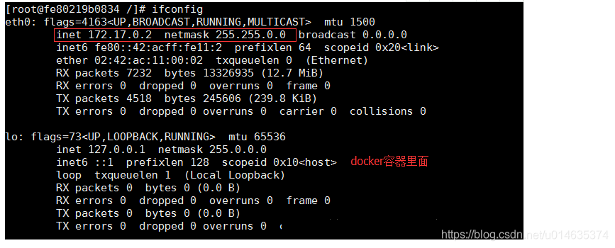 docker之ifconfig安装_docker安装ifconfig-CSDN博客