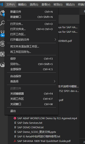VS CODE 使用ABAP_vscode abap-CSDN博客