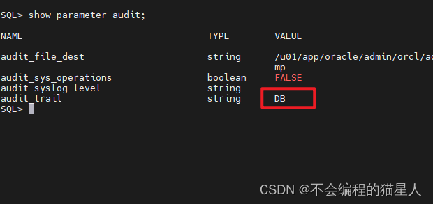 开启数据库审计 db,extended级别或os级别)并将审计文件存放到/opt/oracle/audit/下_oracle19c开启db审计还记录到os下面-CSDN博客