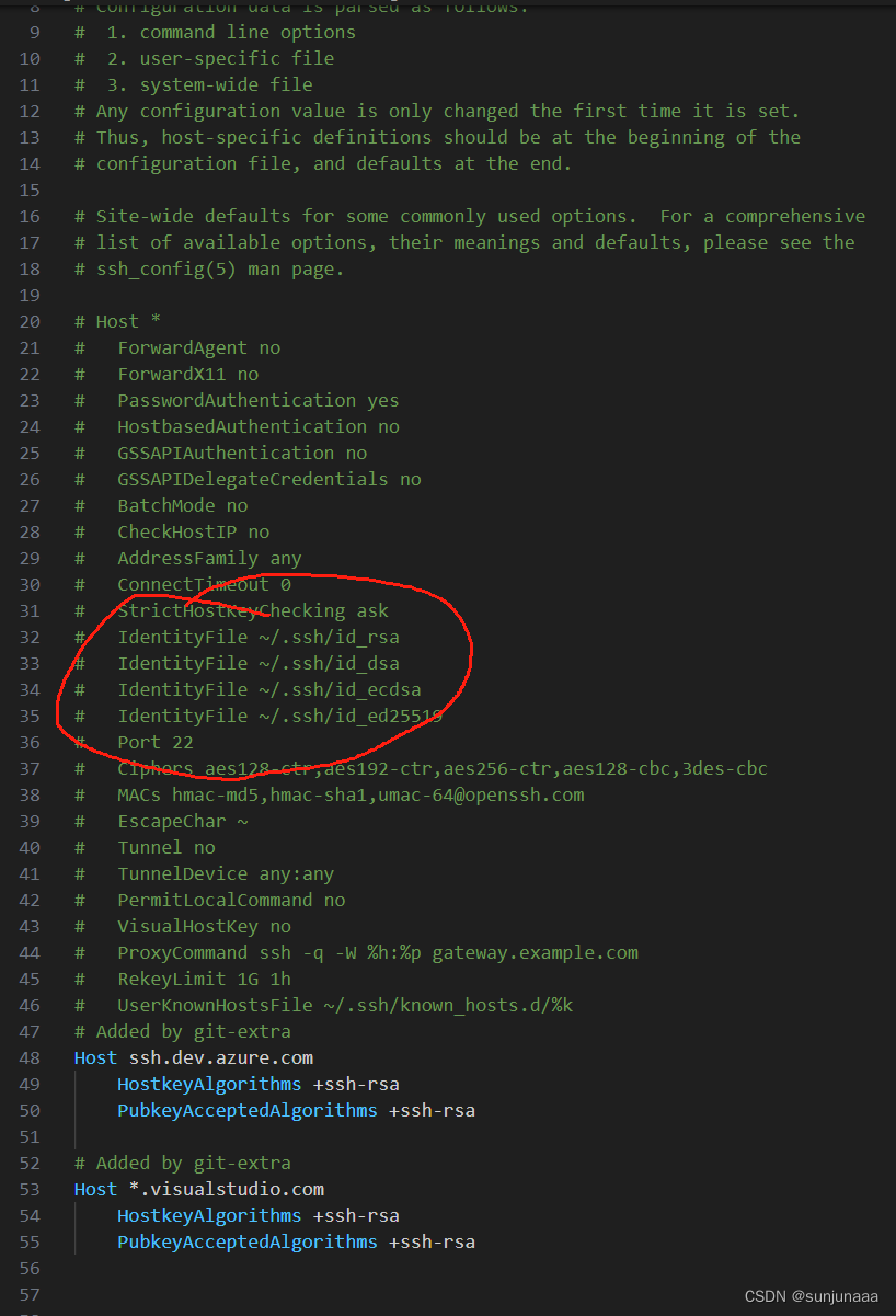 很奇怪，为什么使用git bash自带的open ssh 无法免密登录呢？_git bash openssh-CSDN博客