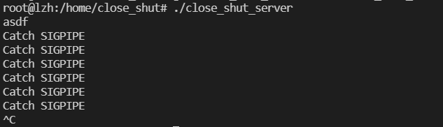 TCP连接关闭：close与shutdown的区别与处理SIGPIPE-CSDN博客