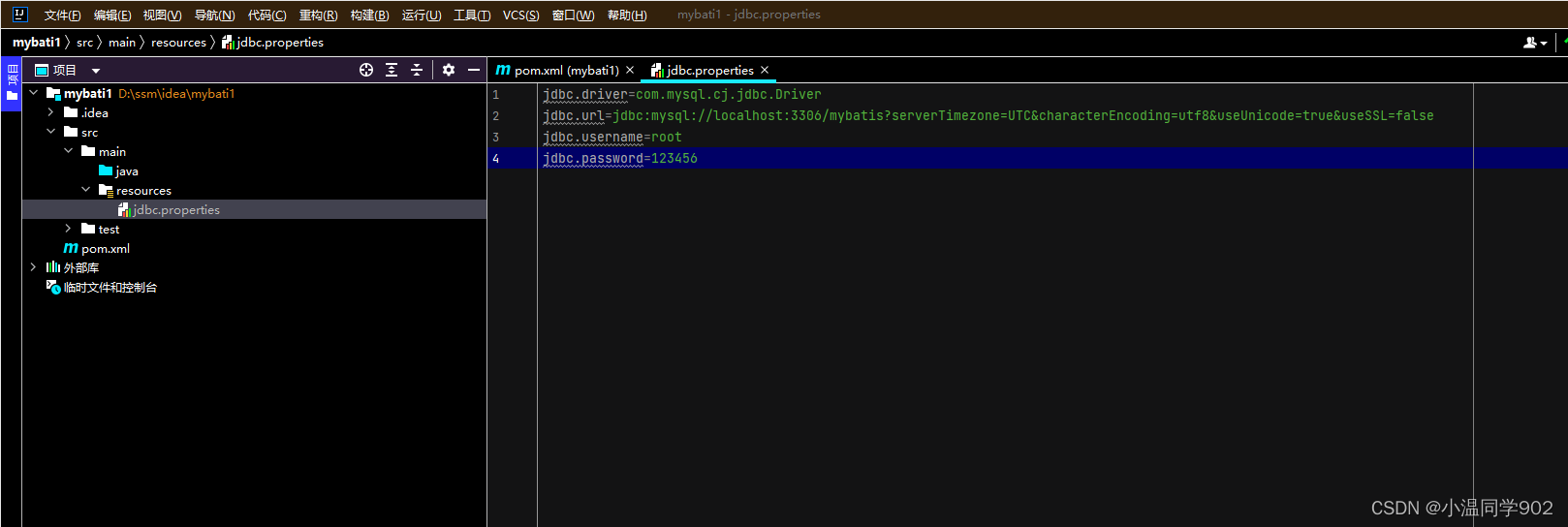 MyBatis开发环境搭建_com.example.mapper-CSDN博客