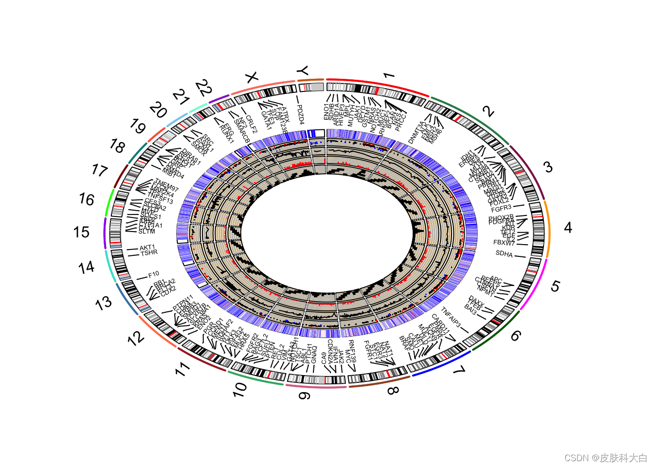 用RCircos包来画圈圈图-CSDN博客