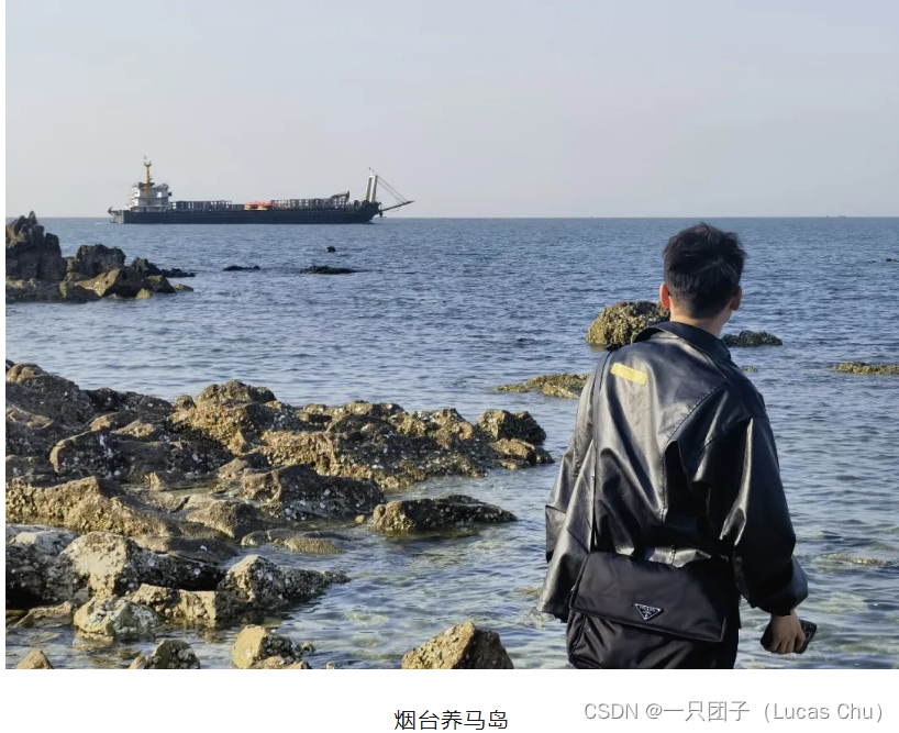 一只团子（Lucas Chu） 个人主页