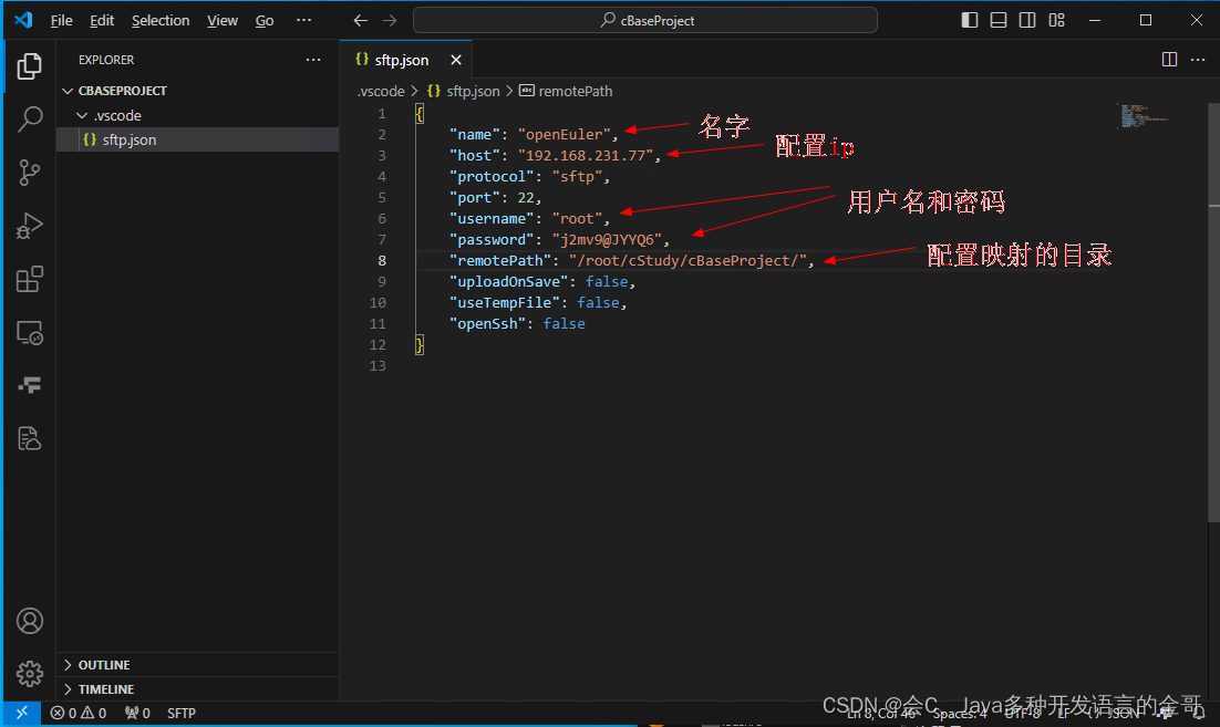 第七篇:VSCode上搭建C项目，并同步到openEuler中编译_openeuler vscode-CSDN博客