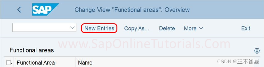 SAP 之如何定义功能范围Function Area_sap function area-CSDN博客