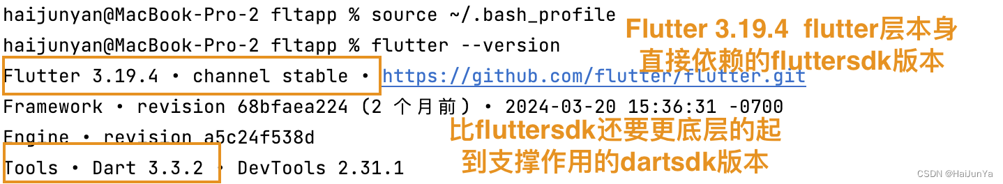 flutterSDK 版本号_flutter sdk版本-CSDN博客