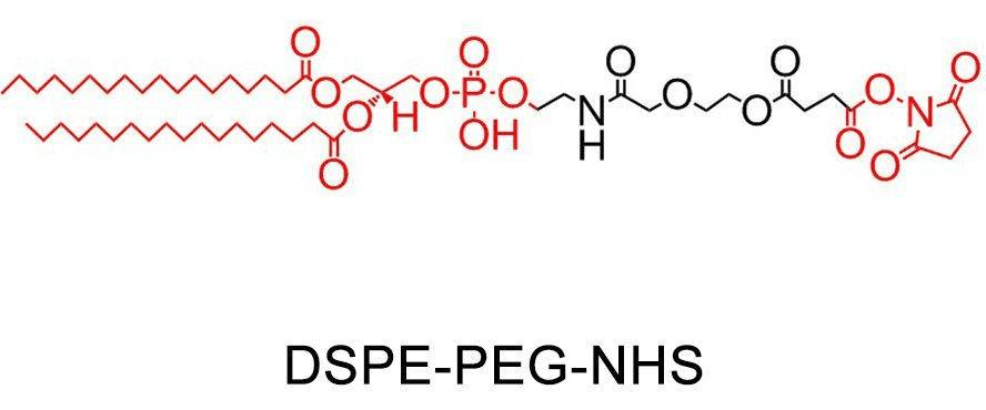 重庆渝偲医药-DSPE-PEG2000-NHS；磷脂-聚乙二醇-活性脂_dspe-peg2000-nhs酰胺化反应-CSDN博客