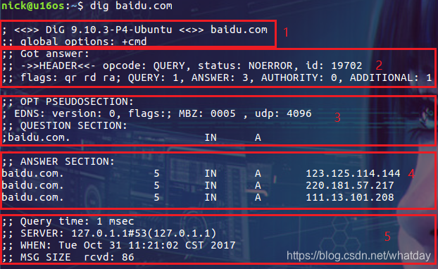 linux dig 命令使用方法_dig short-CSDN博客