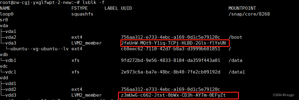 mount: /s: unknown filesystem type ‘LVM2_member‘._mount: unknown filesustem tupe lvm2 member-CSDN博客