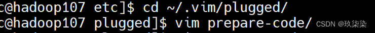 Linux vim/vimplus 更改模板代码_linux如何修改创建的模板-CSDN博客