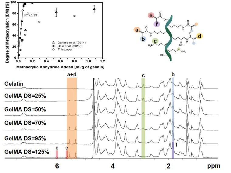 甲基丙烯酰化明胶Gelma常见的光固化水凝胶材料分享_gelma和peg-CSDN博客