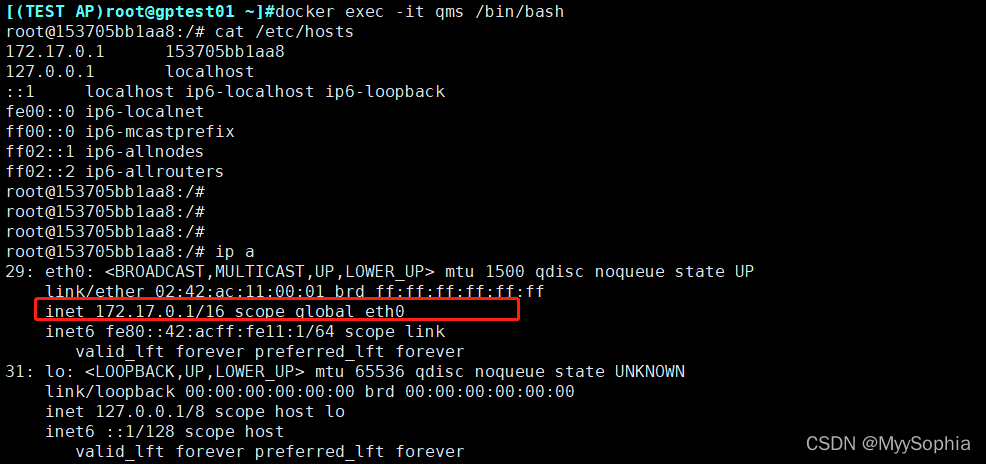 宿主机上docker0 Linux 网桥设备是怎么来的？_lldp docker0-CSDN博客