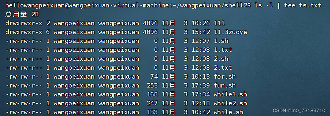 【linux】shell脚本 循环 echo输入输出 函数 shell调试_shell脚本循环写入echo-CSDN博客