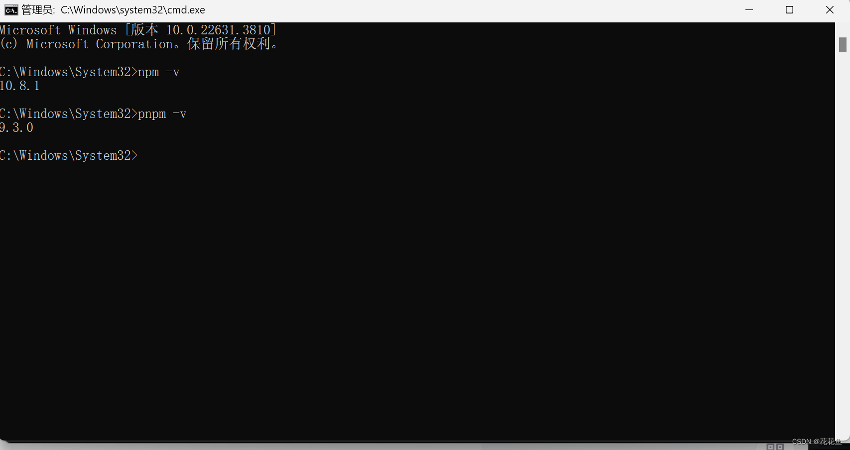 npm创建一个空的vue3项目的方法或者pnpm创建vue3项目_vue3空项目-CSDN博客