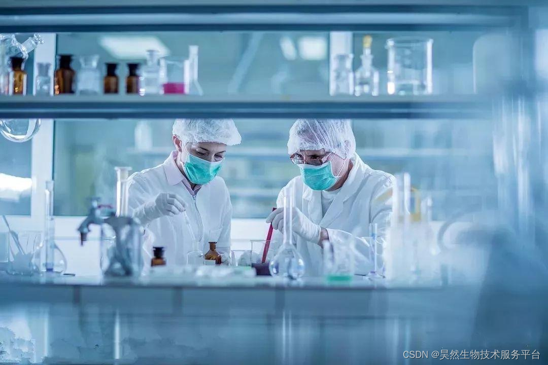 红色荧光标记PLA纳米纤维膜_标记纳米纤维-CSDN博客