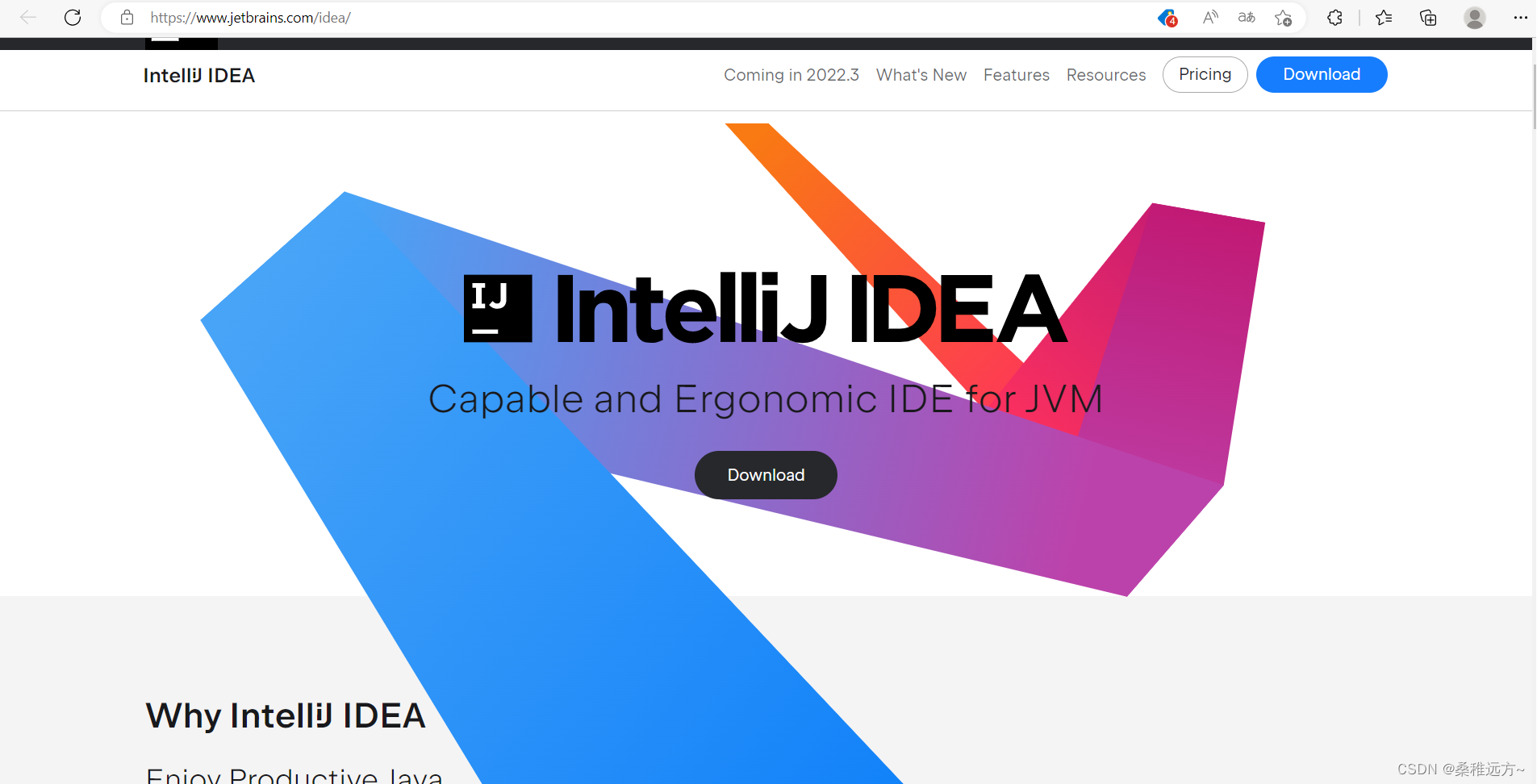 IntelliJ IDEA安装指南-CSDN博客