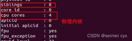 python os.cpu_count()显示内核与真实情况不符的问题_typeerror: cpu count() only physical cores got an -CSDN博客