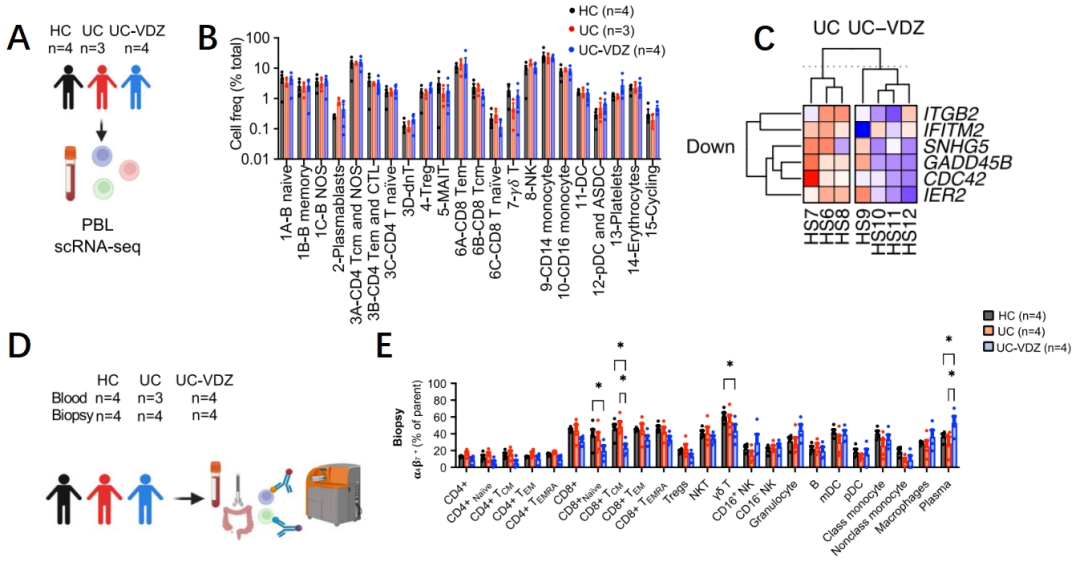 Nat Commun｜phenocycler（原CODEX）发现外周血靶细胞亚群的组织落脚点，深入理解疾病中细胞亚群的作用-CSDN博客