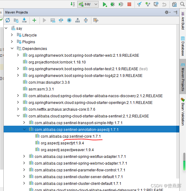 项目如何整合sentinel_如何把sentinel整合到项目中 java-CSDN博客