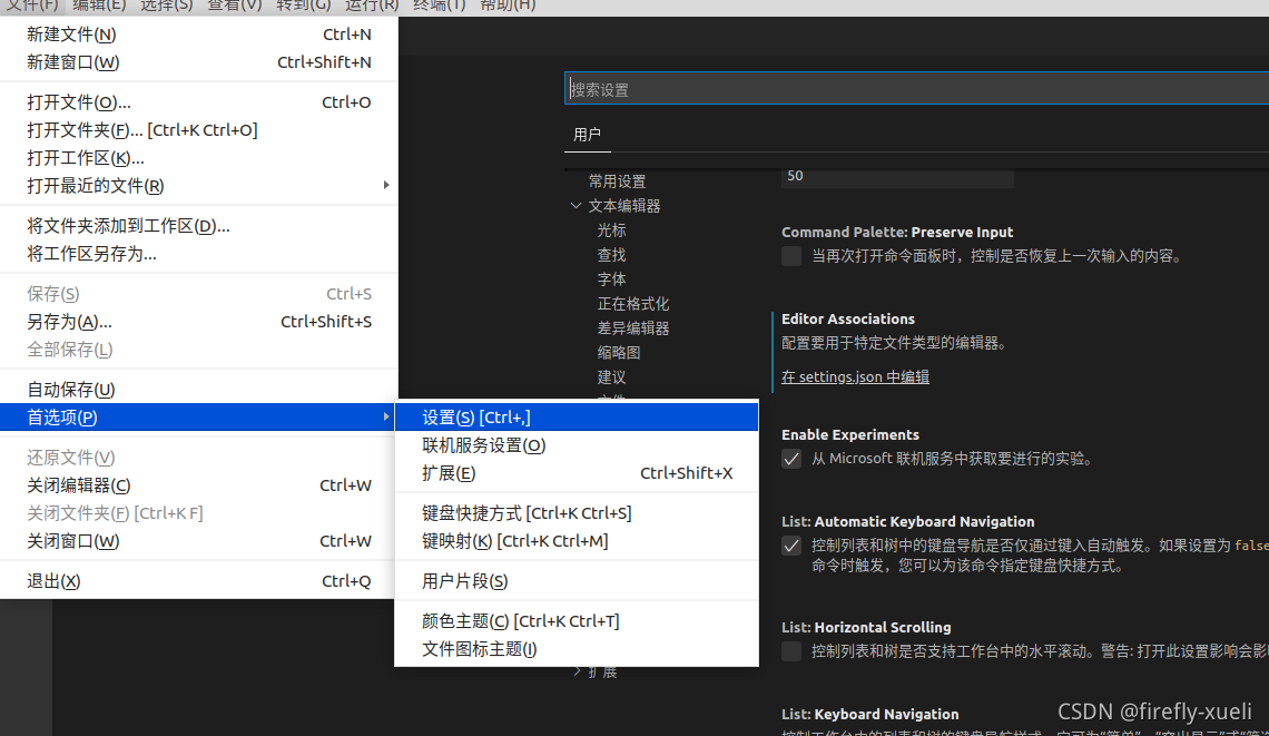 vscode 设置中文_vscode_firefly-xueli-魔乐社区