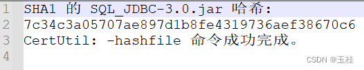手动生成本地仓库中jar包下的pom文件和.sha1文件_.pom.sha1-CSDN博客