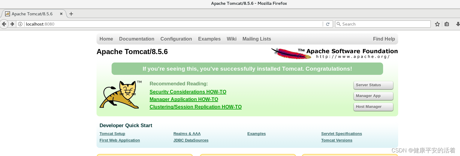 linux服务器上安装tomcat 8.5.6版本tomcat，并启动服务_linux安装tomcat8.5.6运行war-CSDN博客