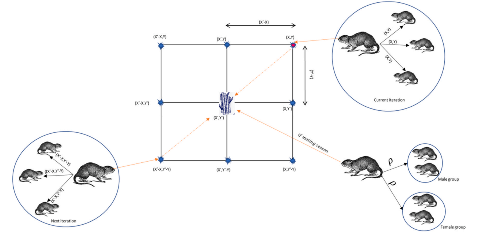 2024最新群智能优化算法：大甘蔗鼠算法（Greater Cane Rat Algorithm，GCRA）求解23个函数，提供MATLAB代码_大蔗鼠优化算法-CSDN博客