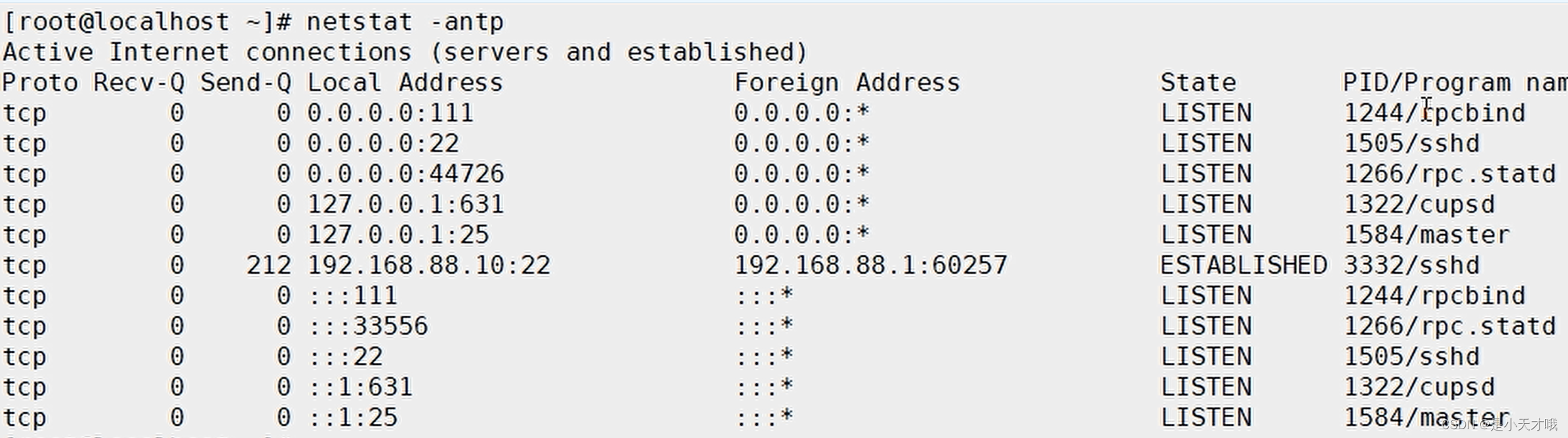 linux的netstat-CSDN博客