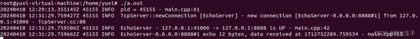 Ubuntu Linux下安装Muduo网络库最新详细步骤_ubuntu安装 muduo库并使用-CSDN博客